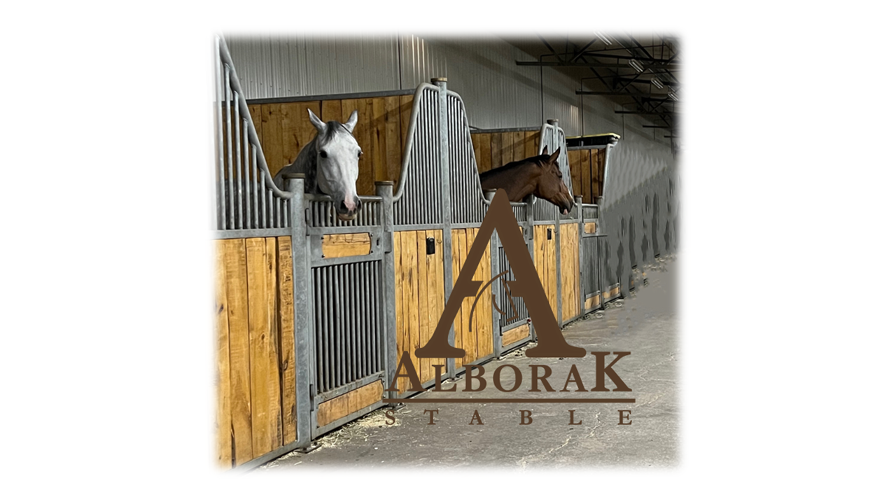 Alborak Stable – My Stable